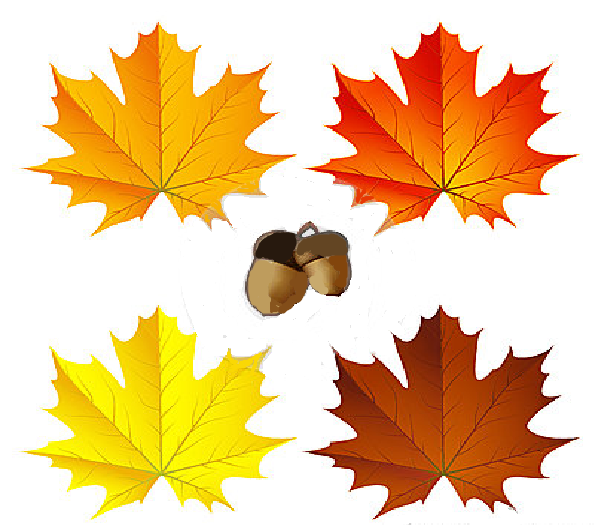 MODELE de FRUNZE de toamna colorate - Ilustratii :: Fise de lucru ...