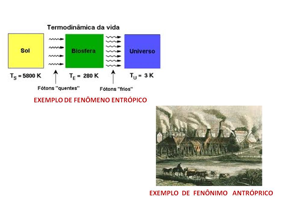 CRÔNICAS E CONTOS (Borges e Garcia): =ENTROPIA E ANTROPIA=