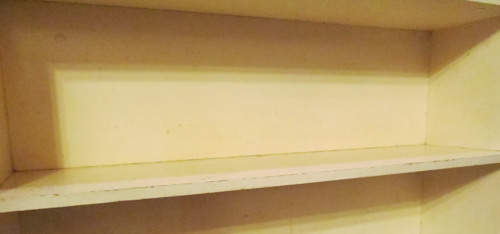 My Empty Shelf The Empty Bookcase