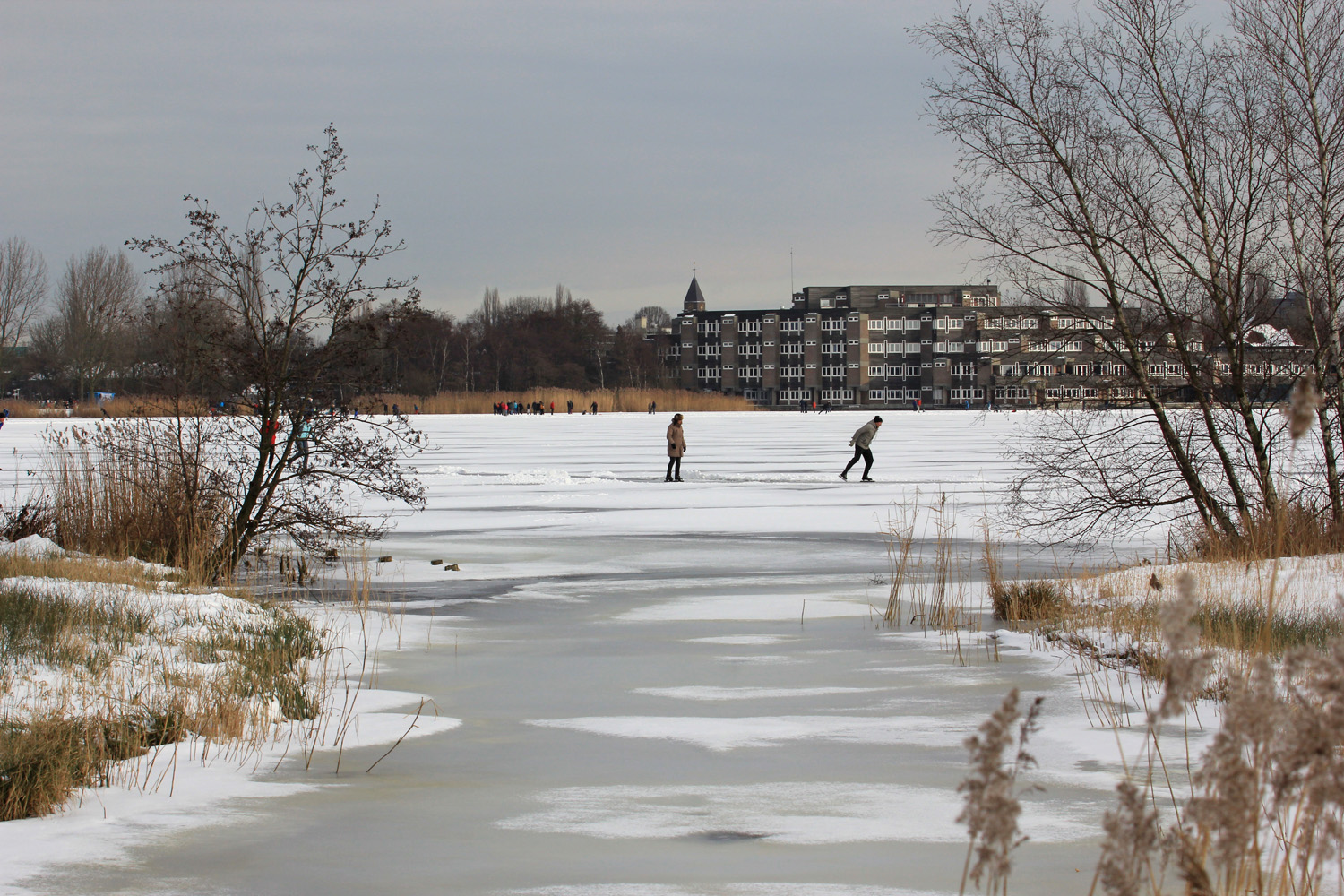 R&R.Natuurlijk: Sneeuw en ijspret in het bos en bij de Amstelveense Poel