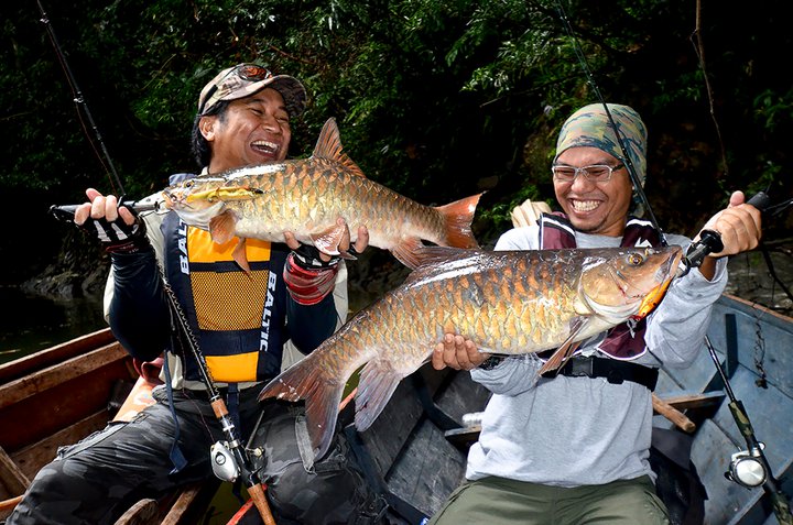 Cara Memancing Ikan Empurau ~ Resep Umpan Ikan Paling Jitu