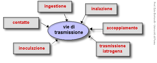La trasmissione delle infezioni | Infezioni e malattie infettive