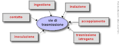 La trasmissione delle infezioni | Infezioni e malattie infettive