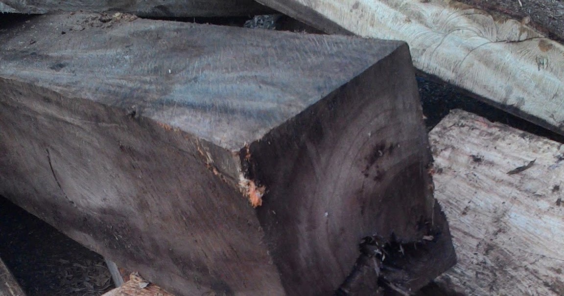 HJD Kayu Gmelina Arborea - DUTA RIMBA INDONESIA