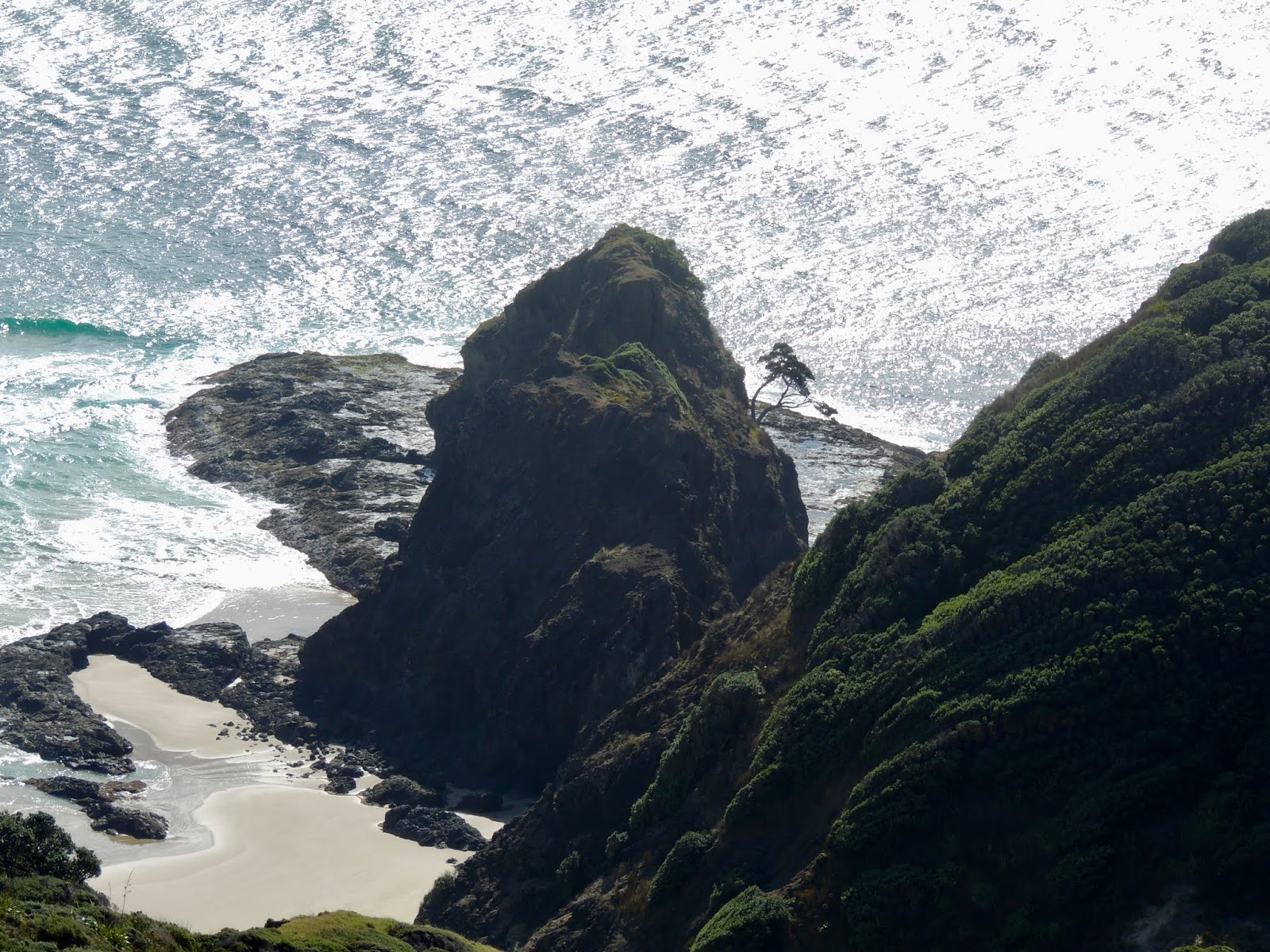 THE ROAD TAKEN : Cape Reinga/Te Rerenga Wairua and the Te Paki Sand Dunes