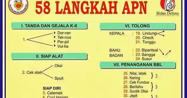 Asuhan Persalinan Normal (APN) Versi Terbaru