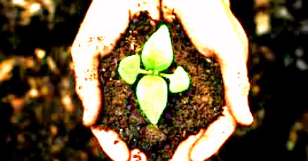 Jenis Jenis Tanah, Manfaat, Ciri Cirinya, gambar beserta penjelasannya ...