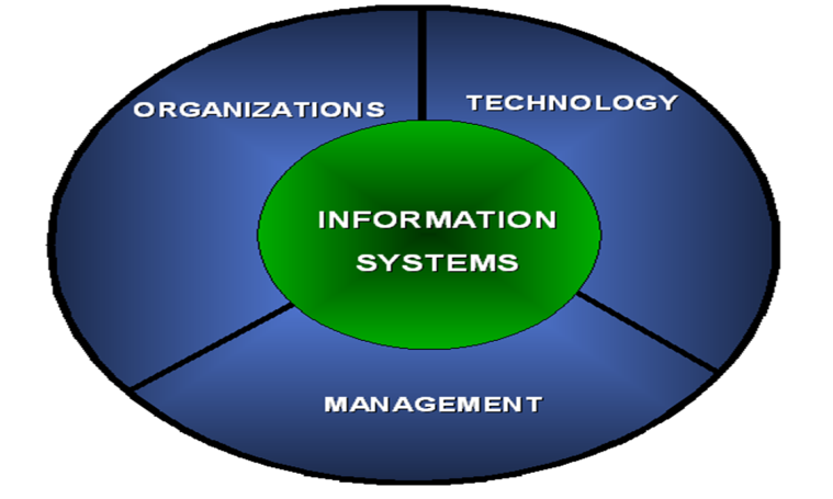 Management Information System (M.I.S.) | notes.nursium.com