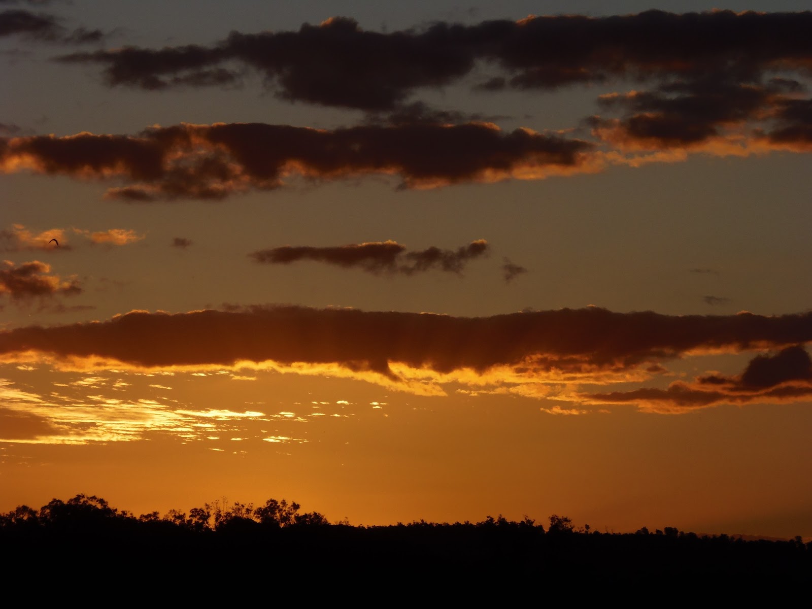 Solo Steve On The Road: GLEBE WEIR at TAROOM Qld