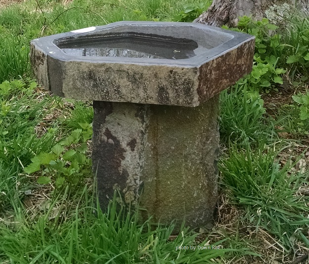 Reviewing the Basalt Birdbath by Stone Age Creations