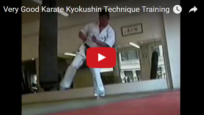 Very Good Karate Kyokushin Technique Training - Mixed Martial Arts