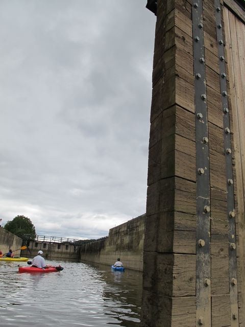 Julie Zickefoose on Blogspot: Zick Does the Muskingum!