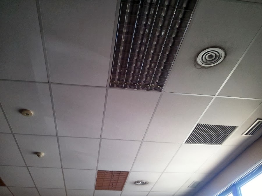 JUNQUILLOS Y CUADRADOS ~ ALUPROF