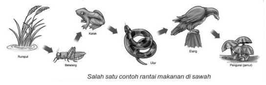 Blog Guru IPA Bu Sri