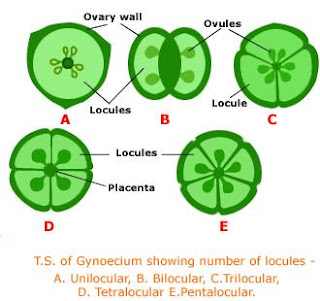 FAVOURED BY DKC: October 2011