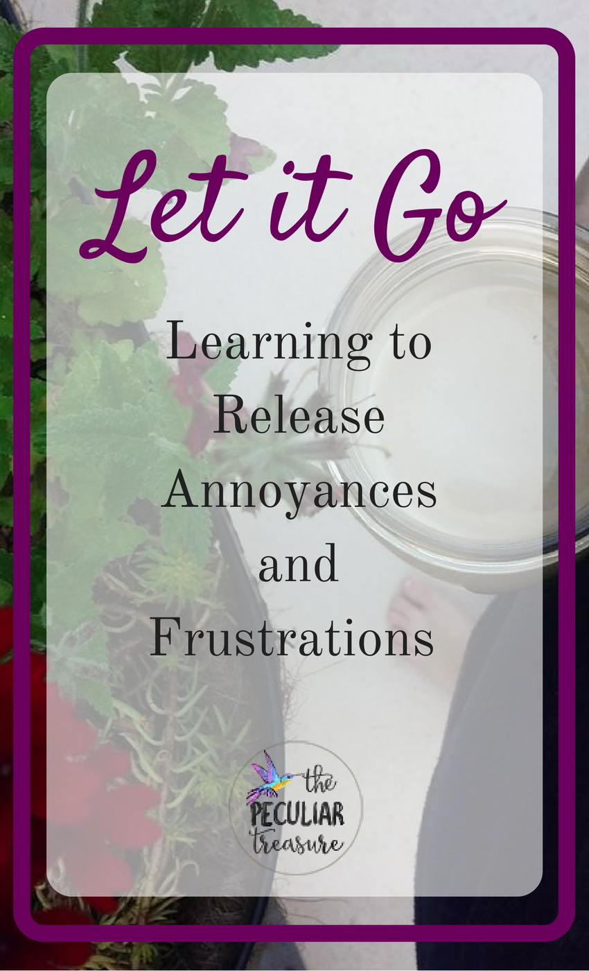 The Peculiar Treasure: Let It Go (Learning to Release Annoyances and ...