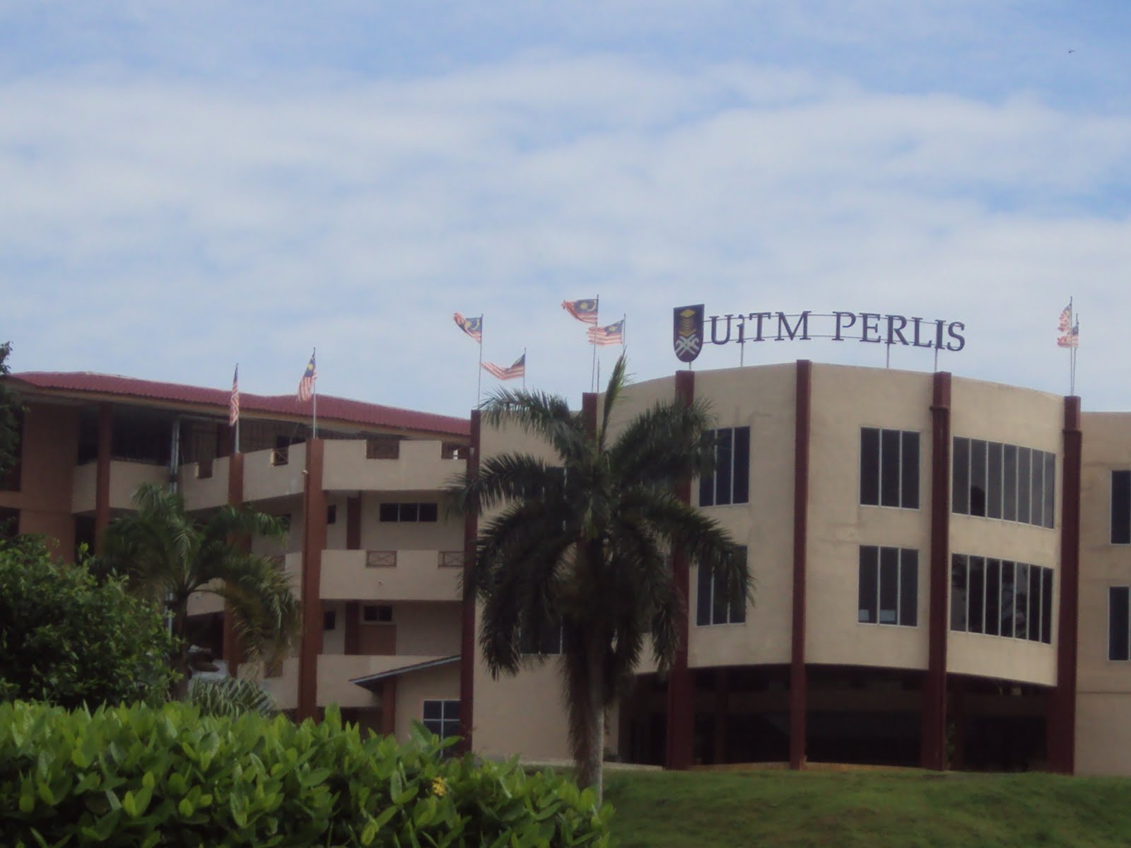 Miss Rarity Gurl Uitm Perlis