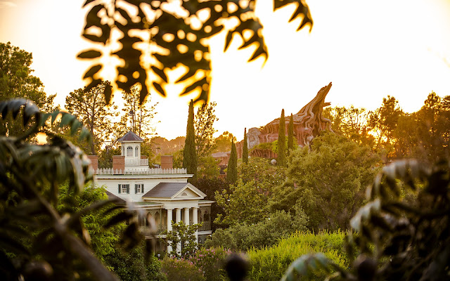 Disney Photoblography