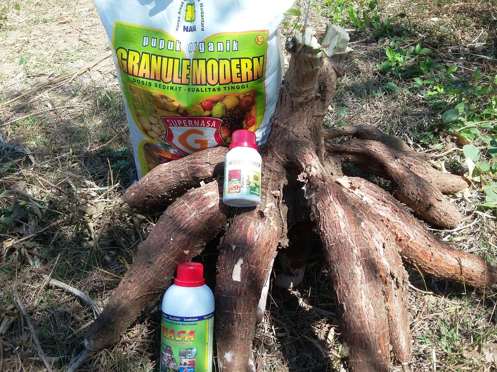 BUDIDAYA KETELA POHON | Pupuk SuperNasa berbentuk Granule