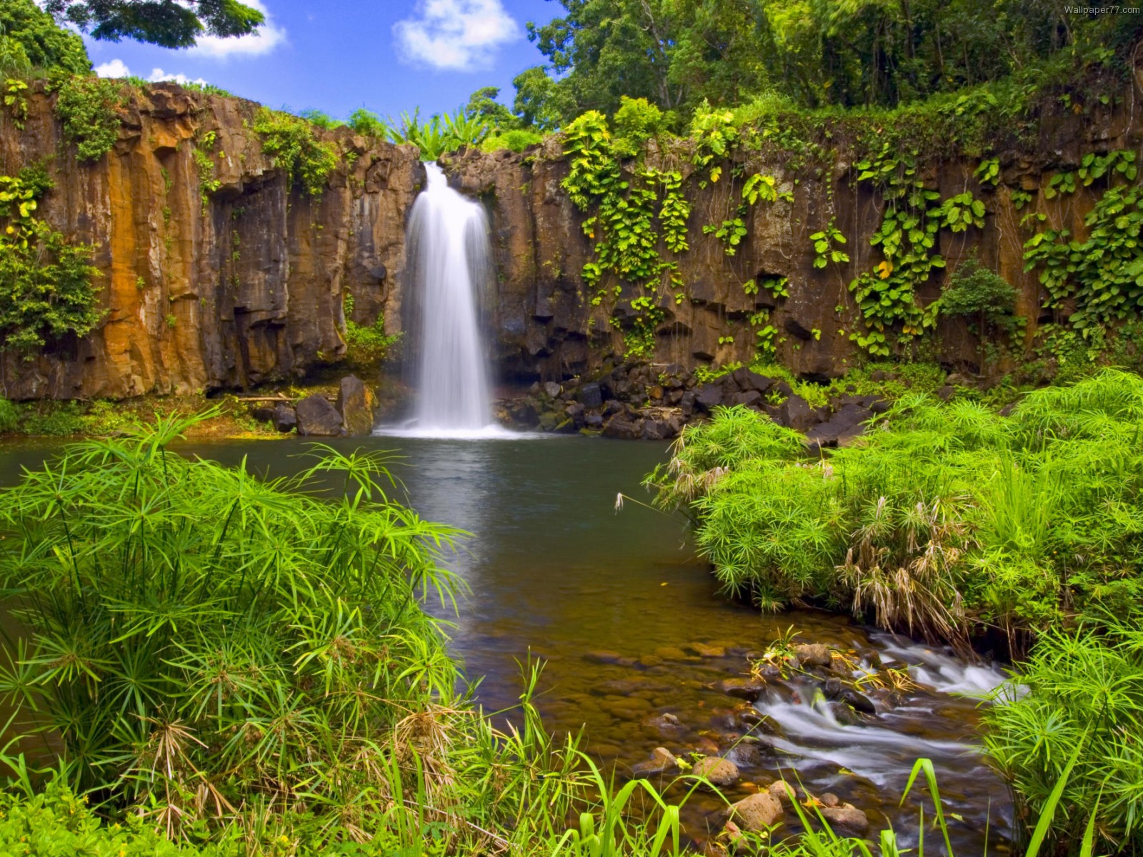 background foto album | background foto bersama