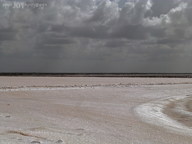 more JOY everywhere!: Operation Go Great Inagua!