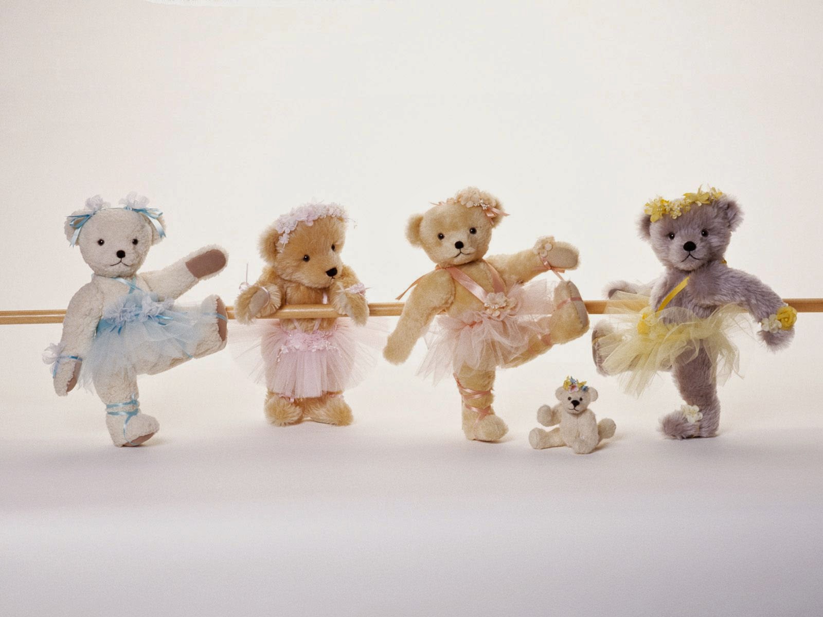 Teddy Collection