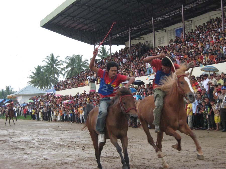 Deskripsi Kuda : Kuda | Horse | Horse Runway