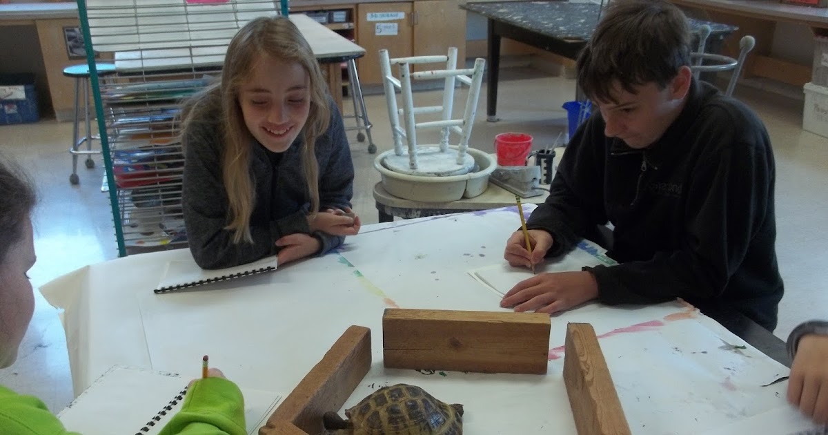 Studio-Learning: Animals as Models