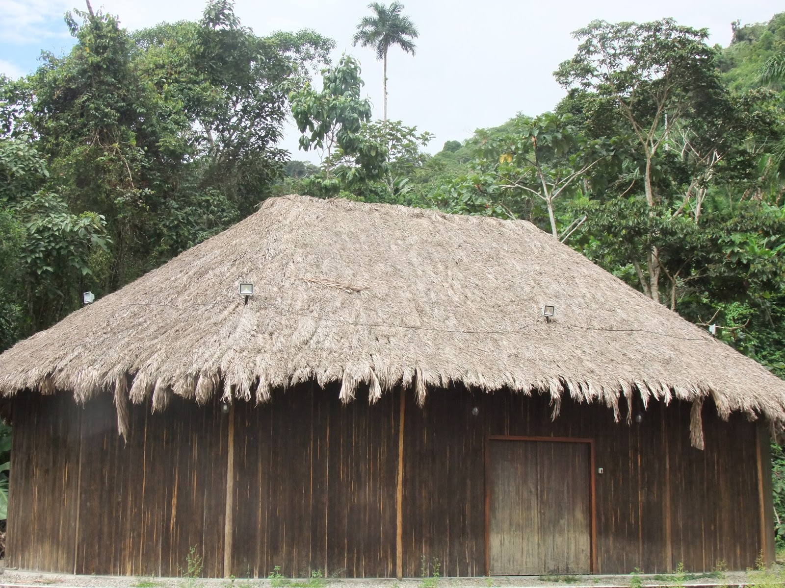 FEDERACIÓN SHUAR DE ZAMORA CHINCHIPE : 2017