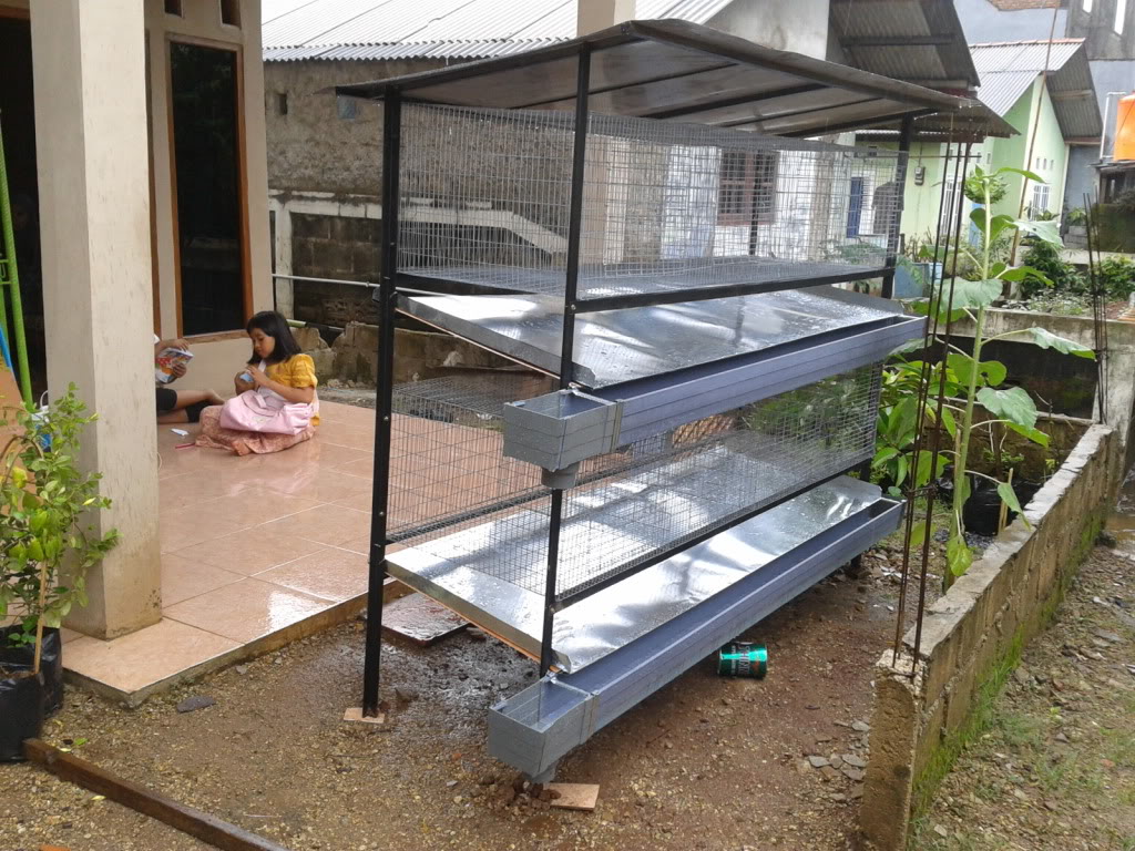 Konsep Terbaru 30+ Contoh Desain Kandang Kelinci