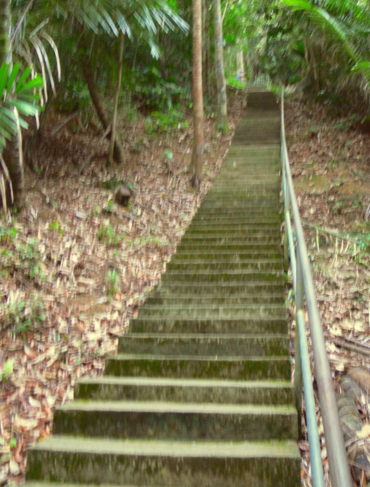 Foto Memori Ku: Istimewanya Hutan Lipur Soga Perdana , Batu Pahat