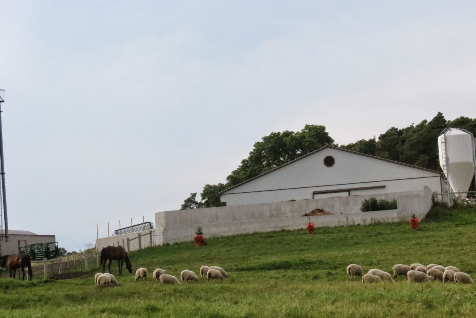 Adventures in PEI and Beyond!: An Honour System of Doing Business ...