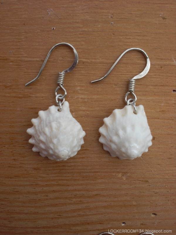 LOCKERROOM134: Sea-shells from jamaica