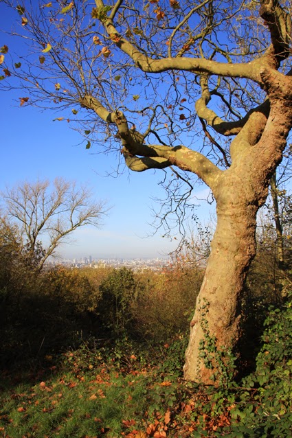 A bad witch's blog: Remembrance: One Tree Hill, Honor Oak and WWI