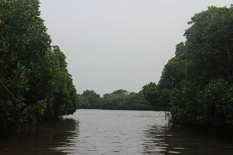 Tamilnadu Tourism: PICHAVARAM