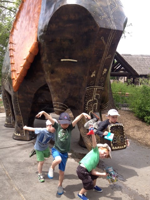 mediocre mama: animals at the zoo