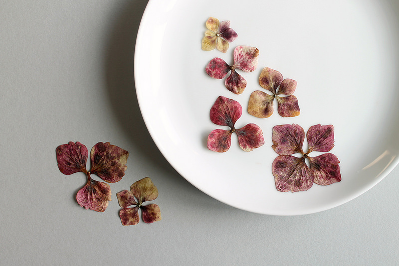 scraps of us : DIY Pressed Flowers Plates