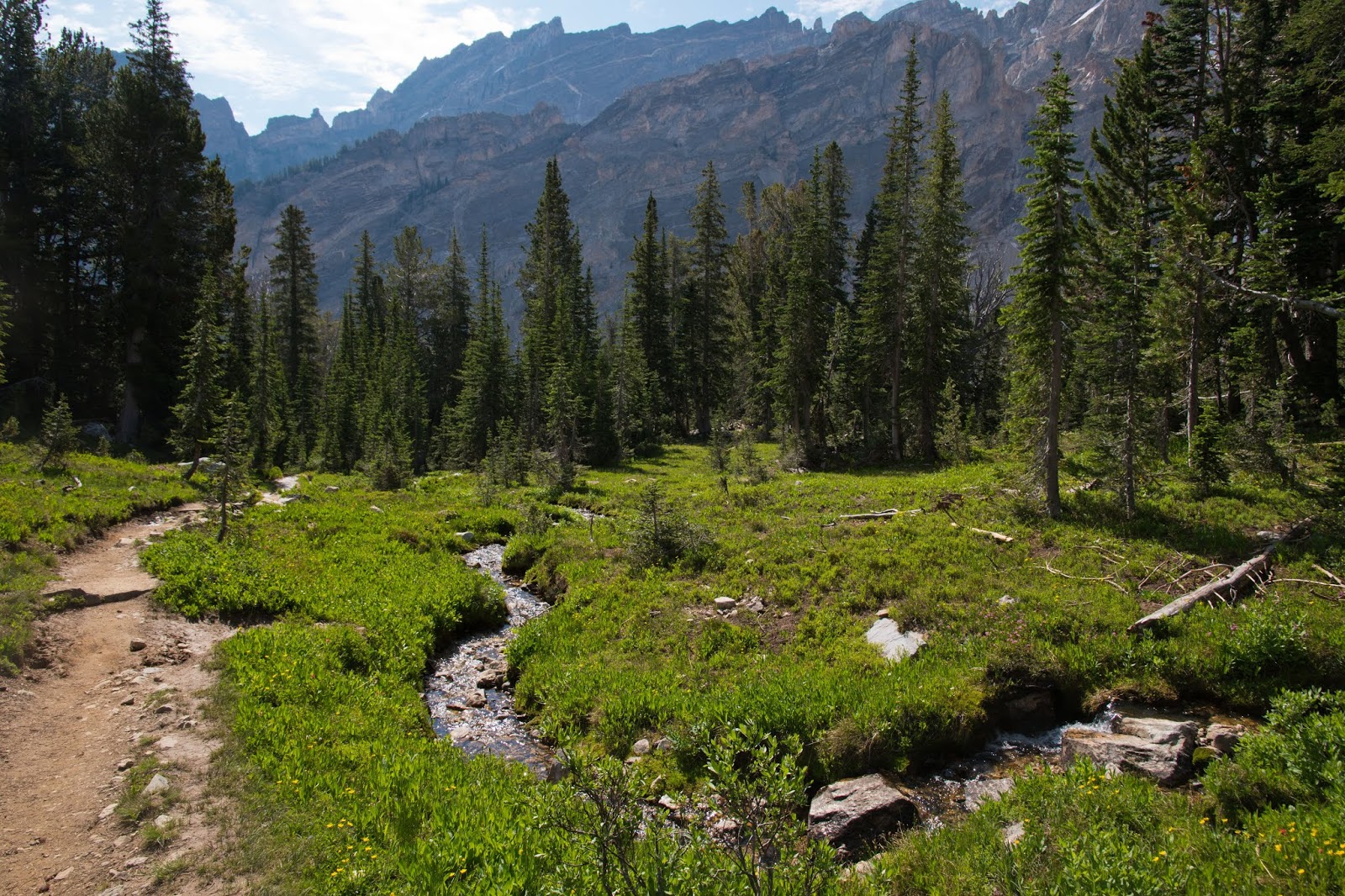 Hiking Shenandoah: Paintbrush Divide-Cascade Canyon Loop