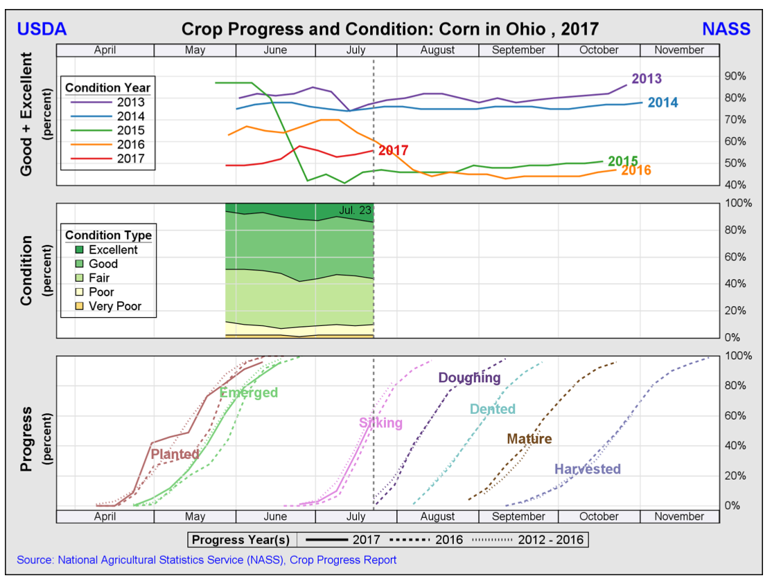 Jul 24 |USDA Crop Progress Graphics
