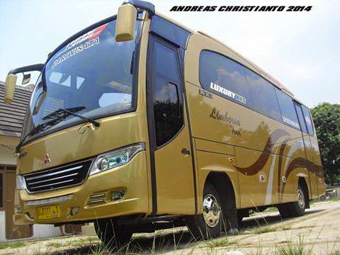 Bis Pariwisata & tiket bus reguler Palembang