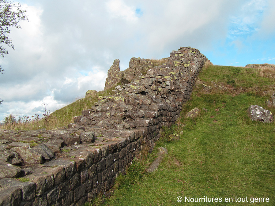 Le mur d'Hadrien