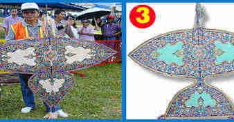 JENIS JENIS WAU - Semua tentang cara dan informasi umum