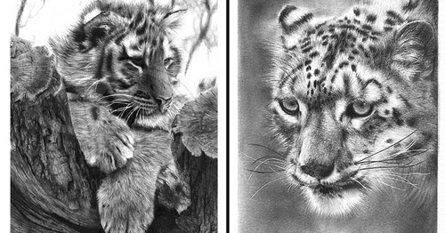 Design Stack: A Blog about Art, Design and Architecture: Animal ...