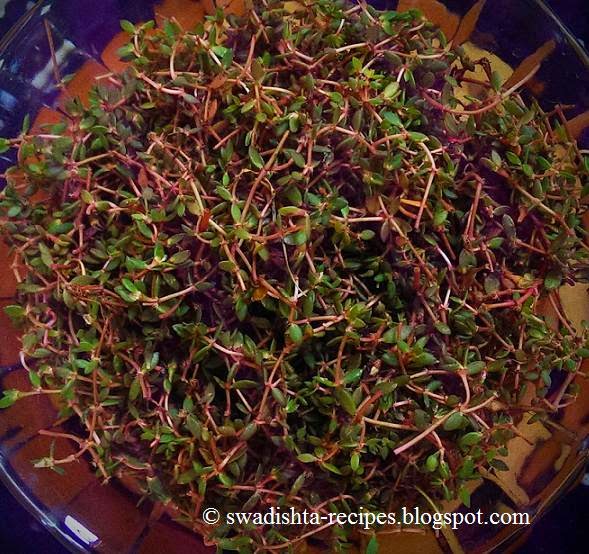 Swadishta Recipes : Chivalichi(Chiu) Bhaji