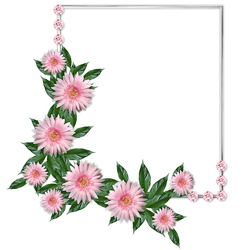 Flowers Free Printable Frames. - Oh My Fiesta! in english
