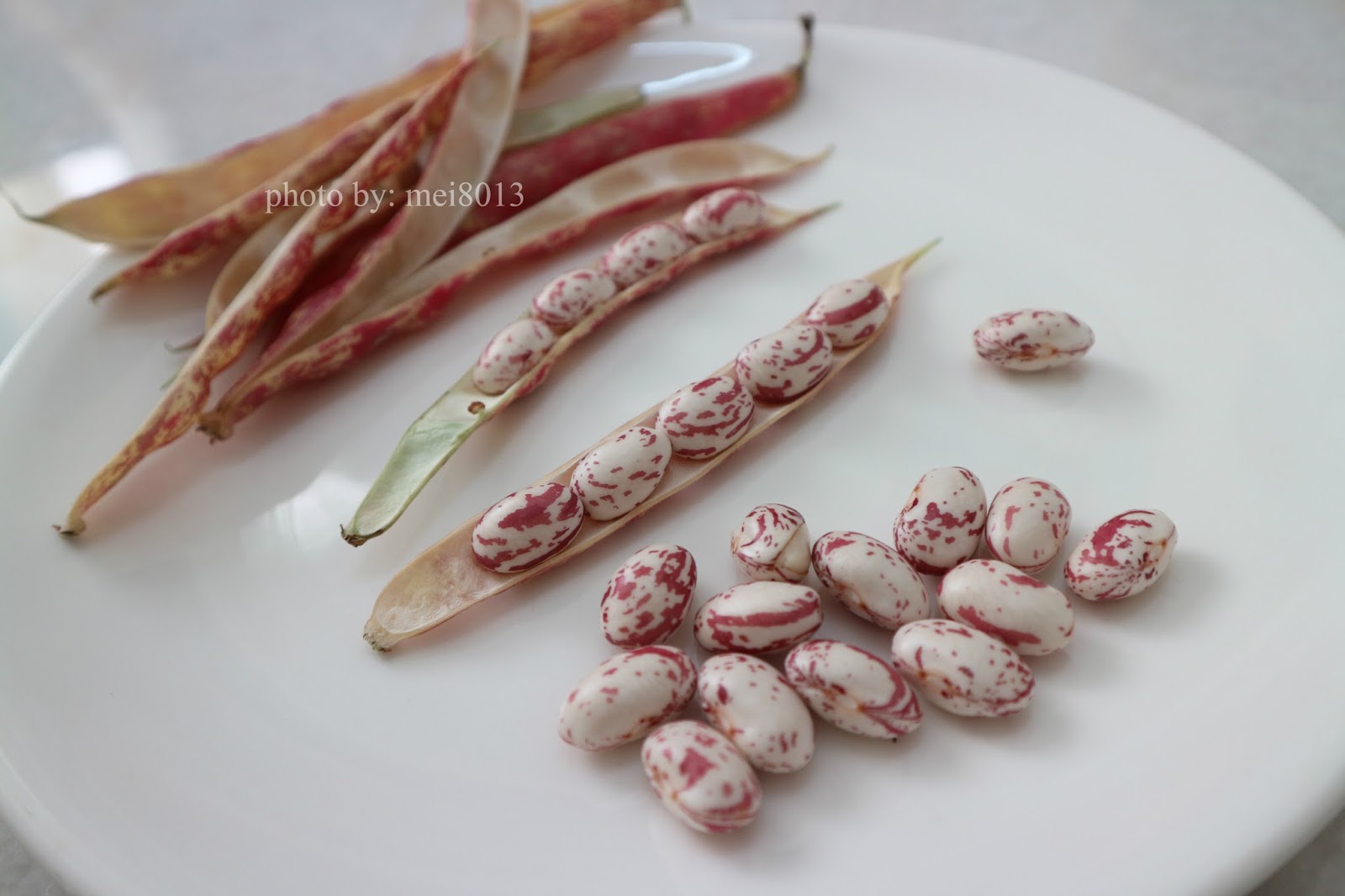 美味 。生活 ~ 小馆: 《 珍珠豆排骨汤 / Pearl Beans Pork Spare Ribs Soup