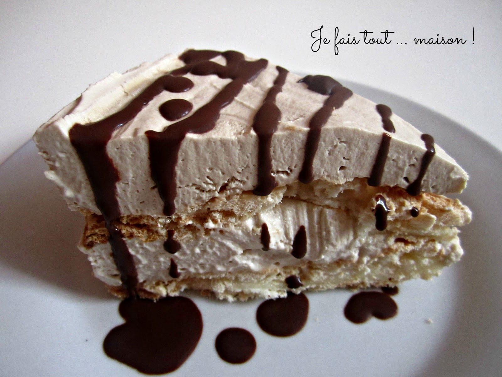 Je fais tout ... maison !: Gâteau glacé SANS SORBETIÈRE