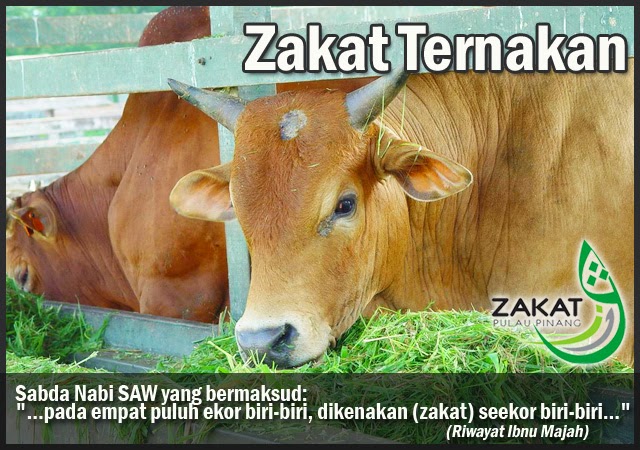 Zakat Ternakan