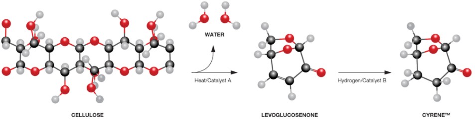 Biosolvent plant project of Circa and Norske Skog receives support from ...