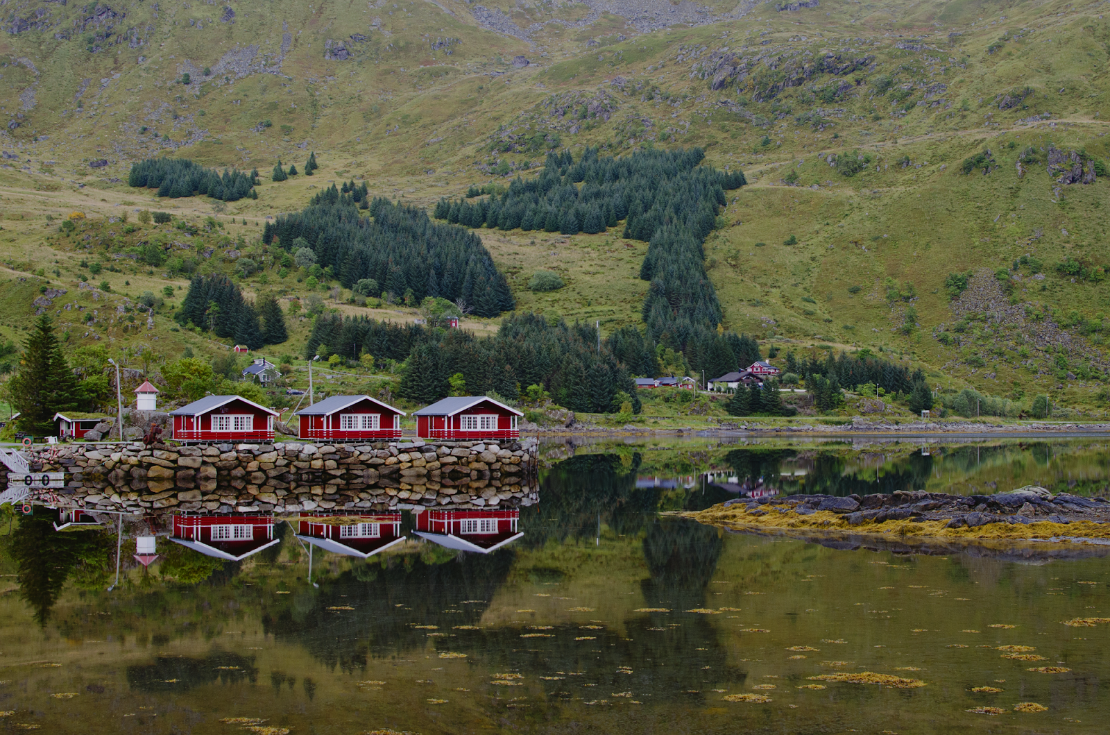 rohelisemrohi: Norra 2.0: Lofoodid (kuidas me jälle üle 3000 km maha ...